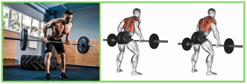 Compound Exercises. 9 Reasons to include them in Training