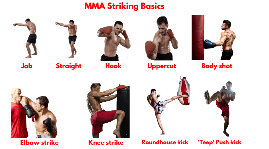 Hail to the King - The Jon Jones Workout