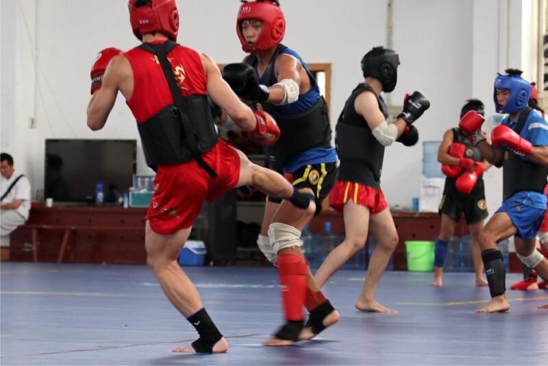 Sanda - Chinese Martial Arts for the 21st Century