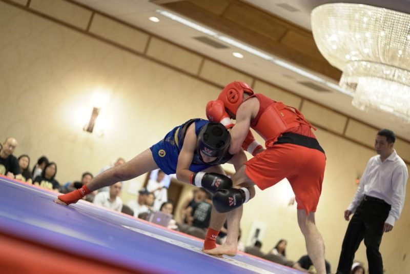 Sanda - Chinese Martial Arts for the 21st Century