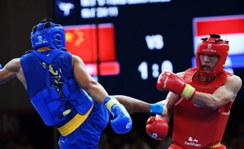 Sanda - Chinese Martial Arts for the 21st Century
