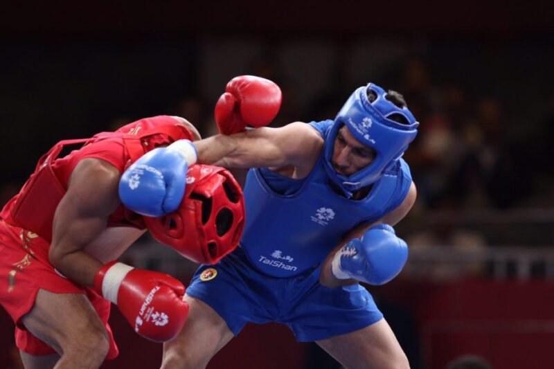 Sanda - Chinese Martial Arts for the 21st Century