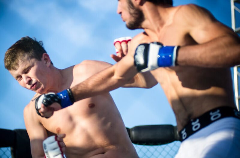 Characteristics and Techniques of Pankration