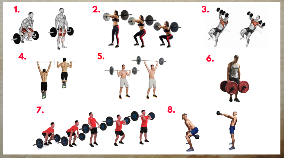 The Tigris of Gaul Circuits: Strength Phase. - Super Soldier Project