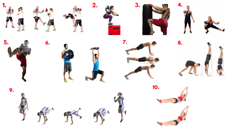 Warrior MMA Workouts