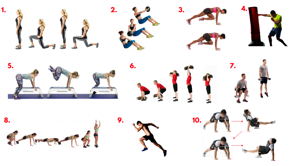 Warrior MMA Workouts