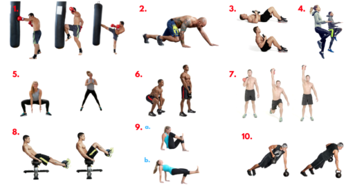 Warrior MMA Workouts