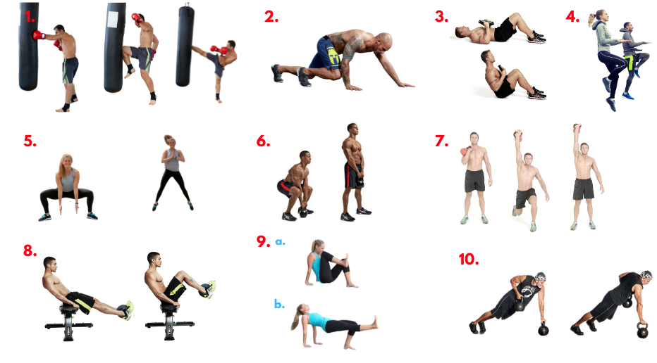 Warrior MMA Workouts