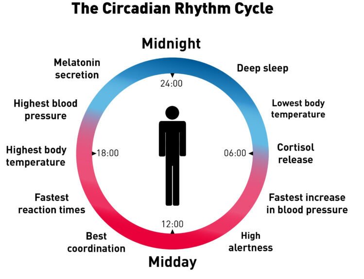 The Science of Sleep - What we know about Sleep