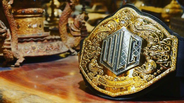 Lethwei - The Art of Nine Limbs