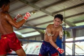 Lethwei - The Art of Nine Limbs