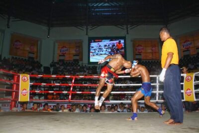 Lethwei - The Art of Nine Limbs