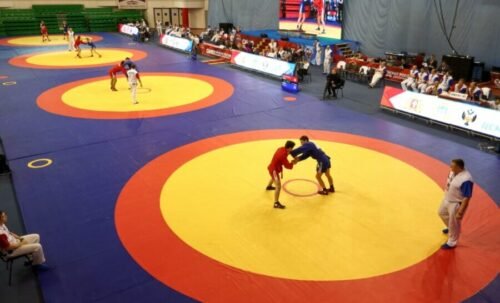 Combat Sambo - The Beast from the East