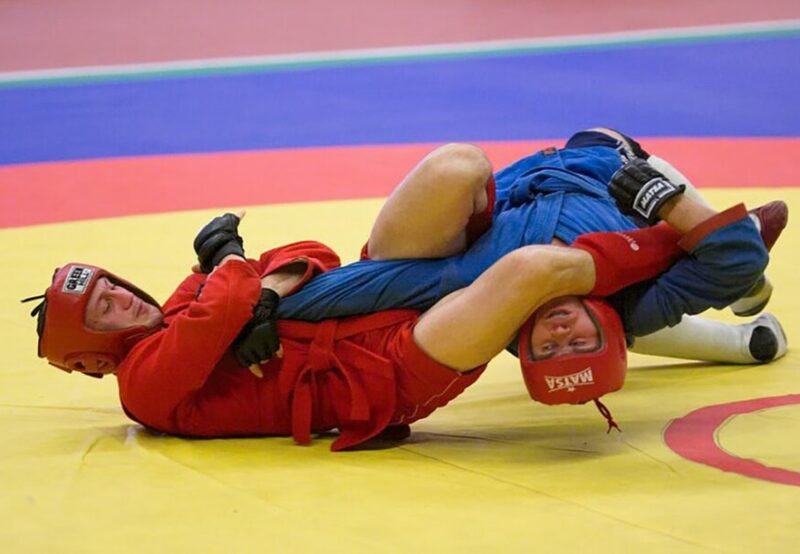 Combat Sambo - The Beast from the East