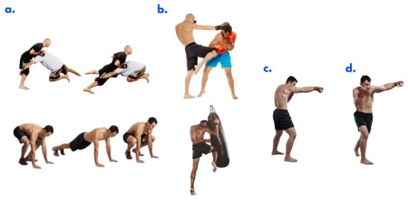 The MMA Hall of Fame Workout
