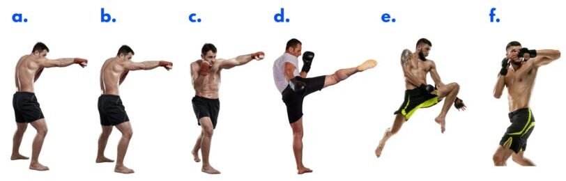 The MMA Hall of Fame Workout