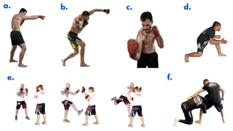 The MMA Hall of Fame Workout