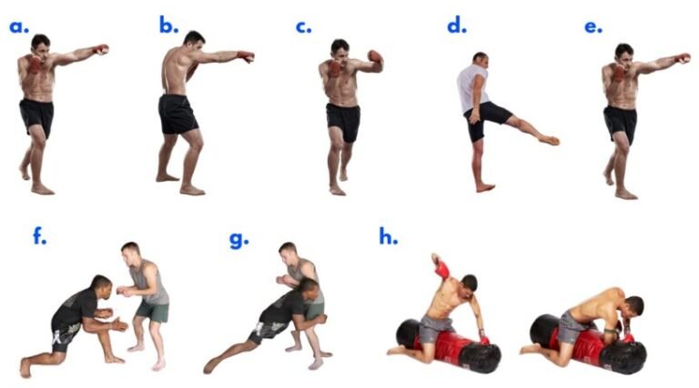 The MMA Hall of Fame Workout