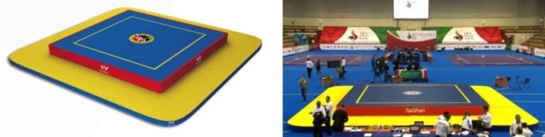 Sanda - Chinese Martial Arts for the 21st Century