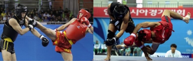 Sanda - Chinese Martial Arts for the 21st Century