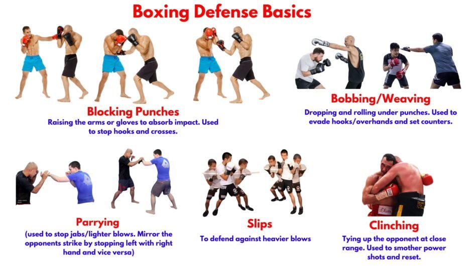 Western Boxing – The Sweet Science